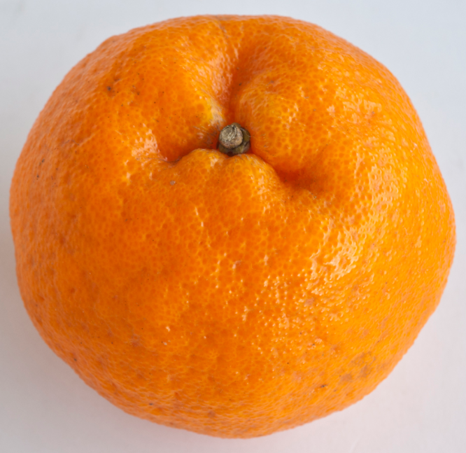 PONKAN BIG – Magic Star Supermarket