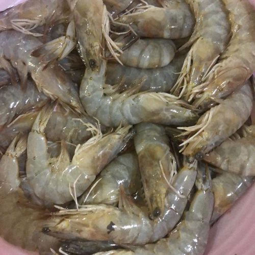 SUGPO BIG – Magic Star Supermarket